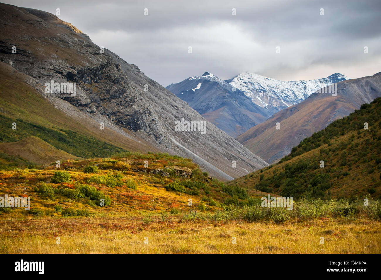 Arctic alaska basin hi-res stock photography and images - Alamy