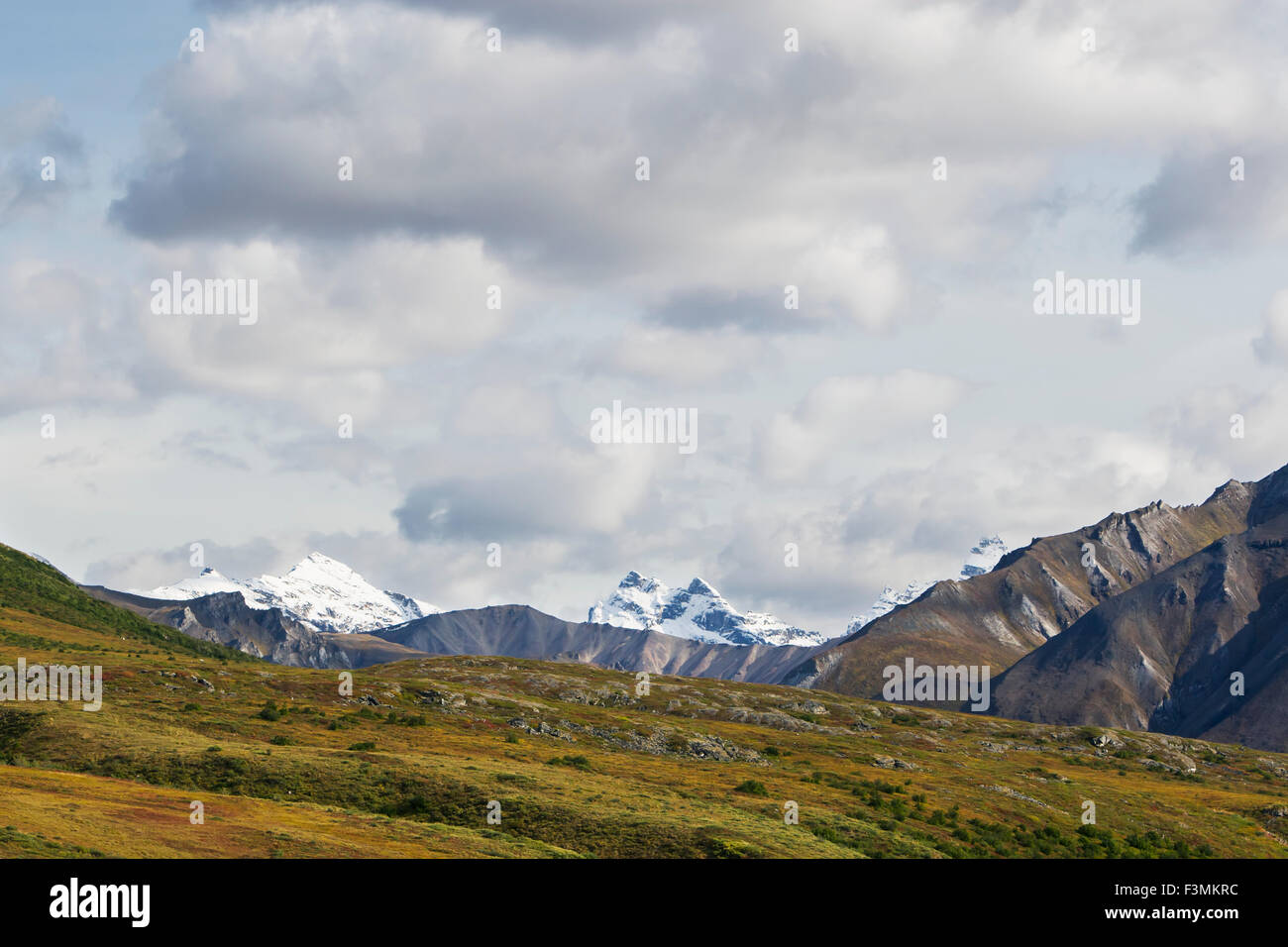 Arctic alaska basin hi-res stock photography and images - Alamy