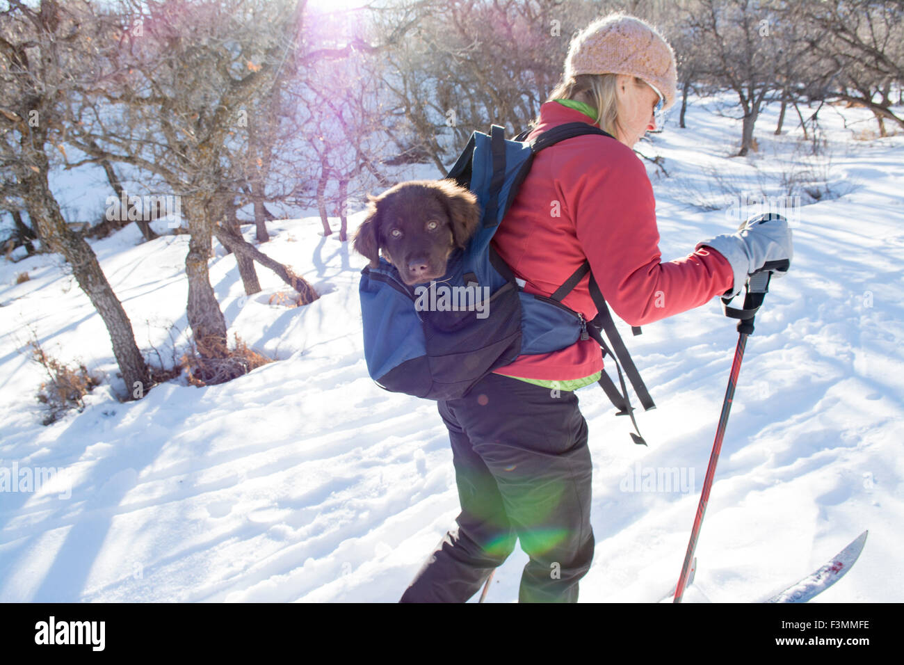 A woman cross country skiing in La Plata Canyon, Mayday, Colorado Stock ...