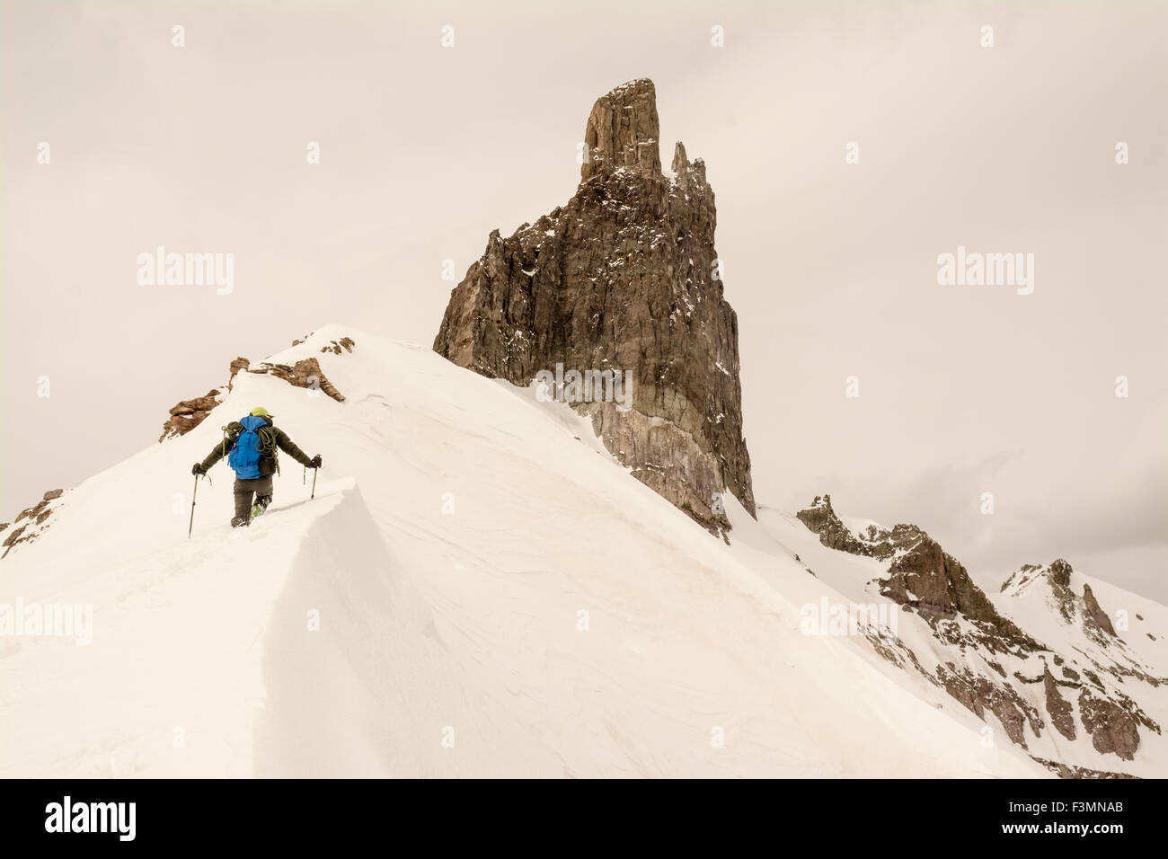 Angle head lizard hi-res stock photography and images - Alamy
