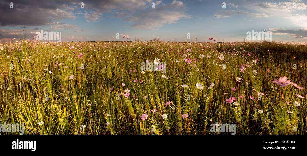 Frames and borders landscape hi-res stock photography and images - Alamy