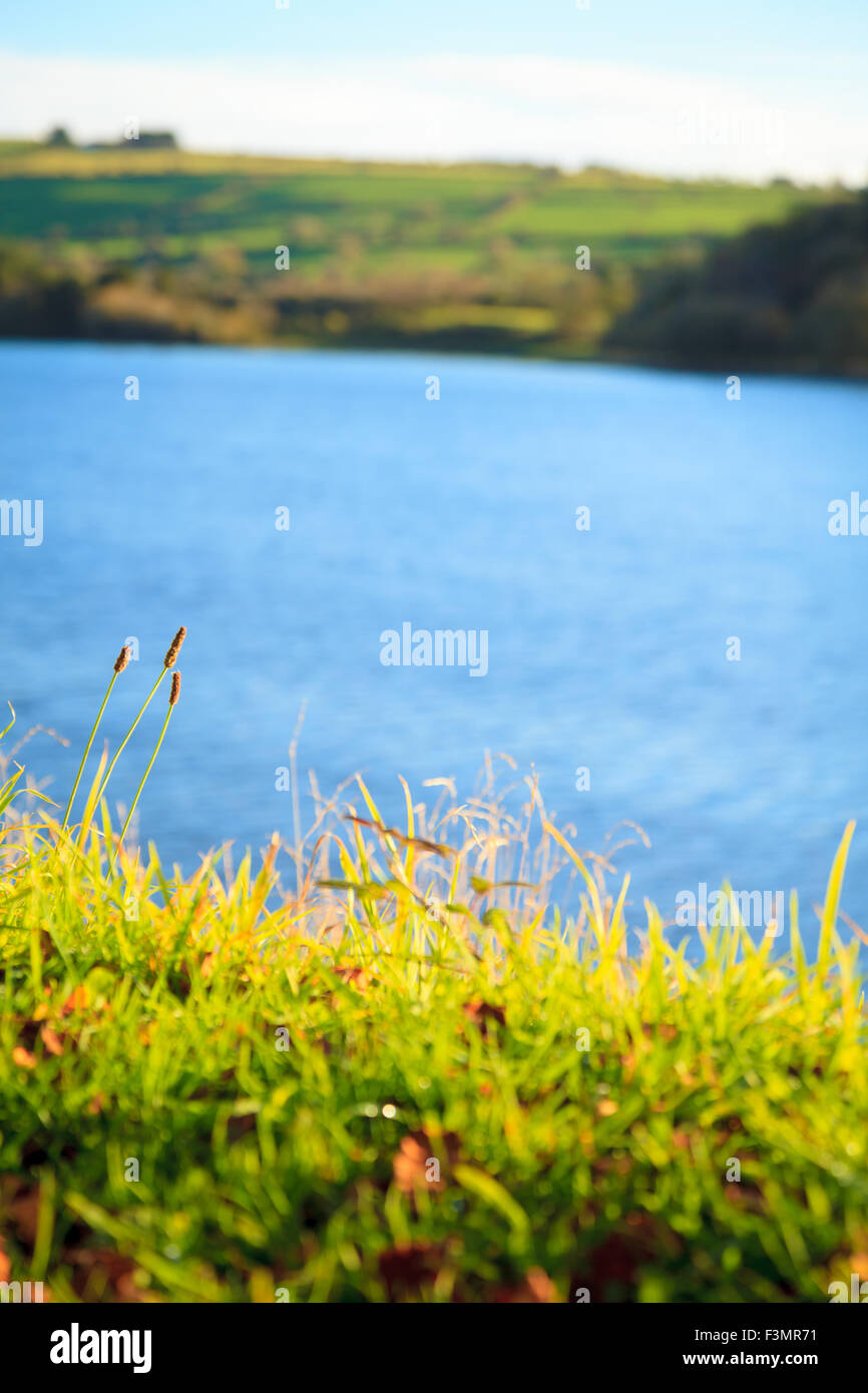 beautiful irish landscape green meadows at calm river Co.Cork, Ireland ...