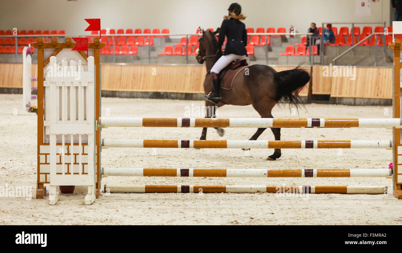 Equitation. Riding competition. Show jumping, horse and rider over jump ...