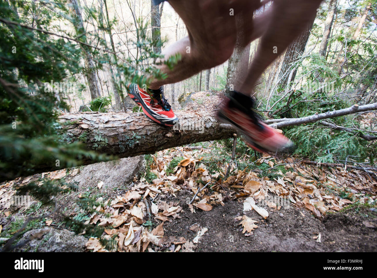 Jumping over trees hi-res stock photography and images - Alamy