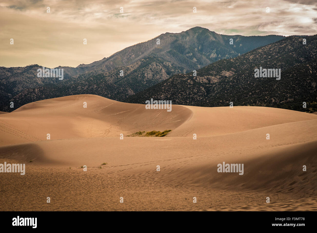 Sand dunes and mountains Stock Photo - Alamy
