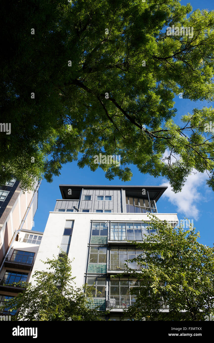 Todd Building, Ingram Street, Glasgow Stock Photo - Alamy