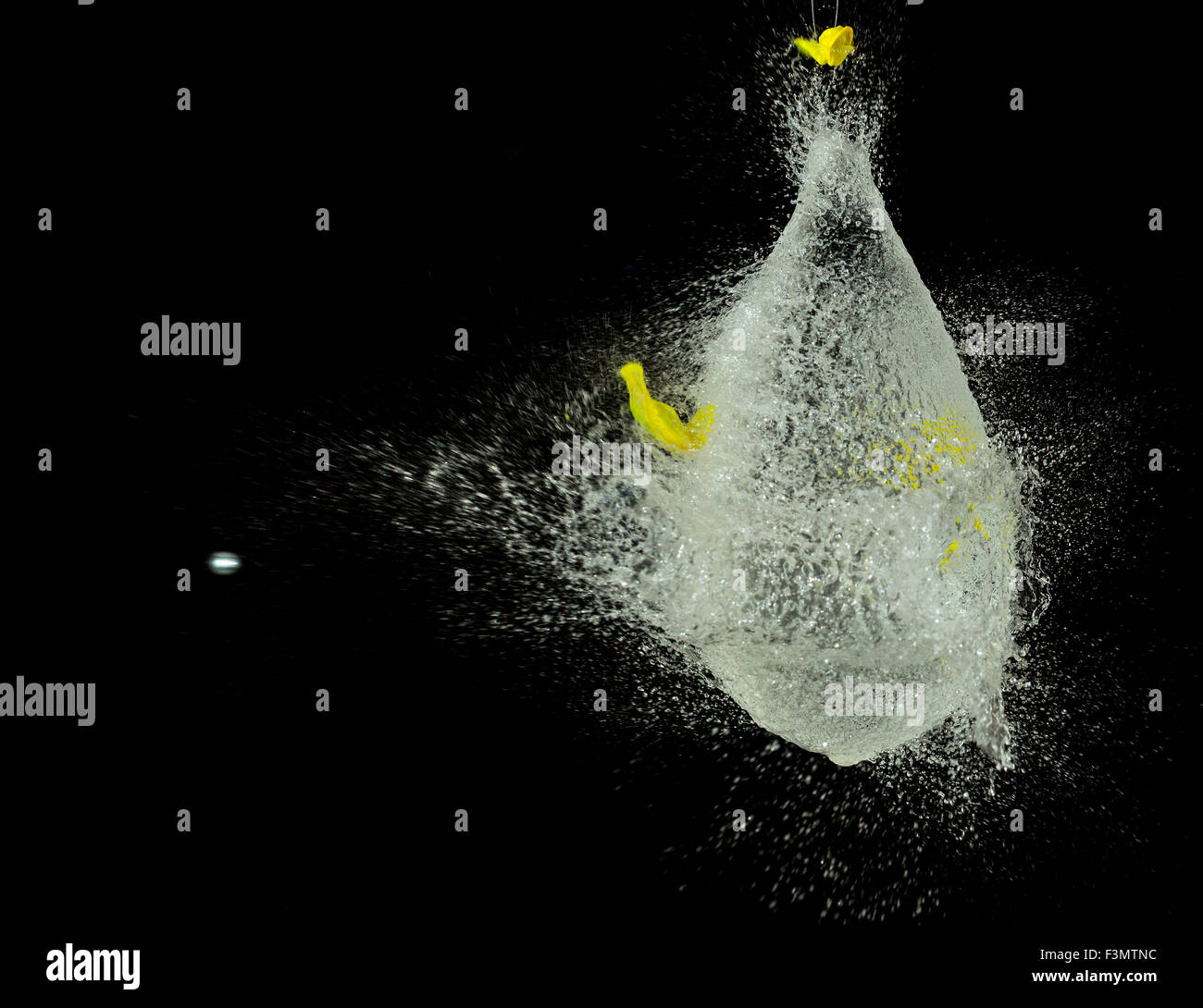 high speed photo of bursting water filled balloon shot with a blow dart ...