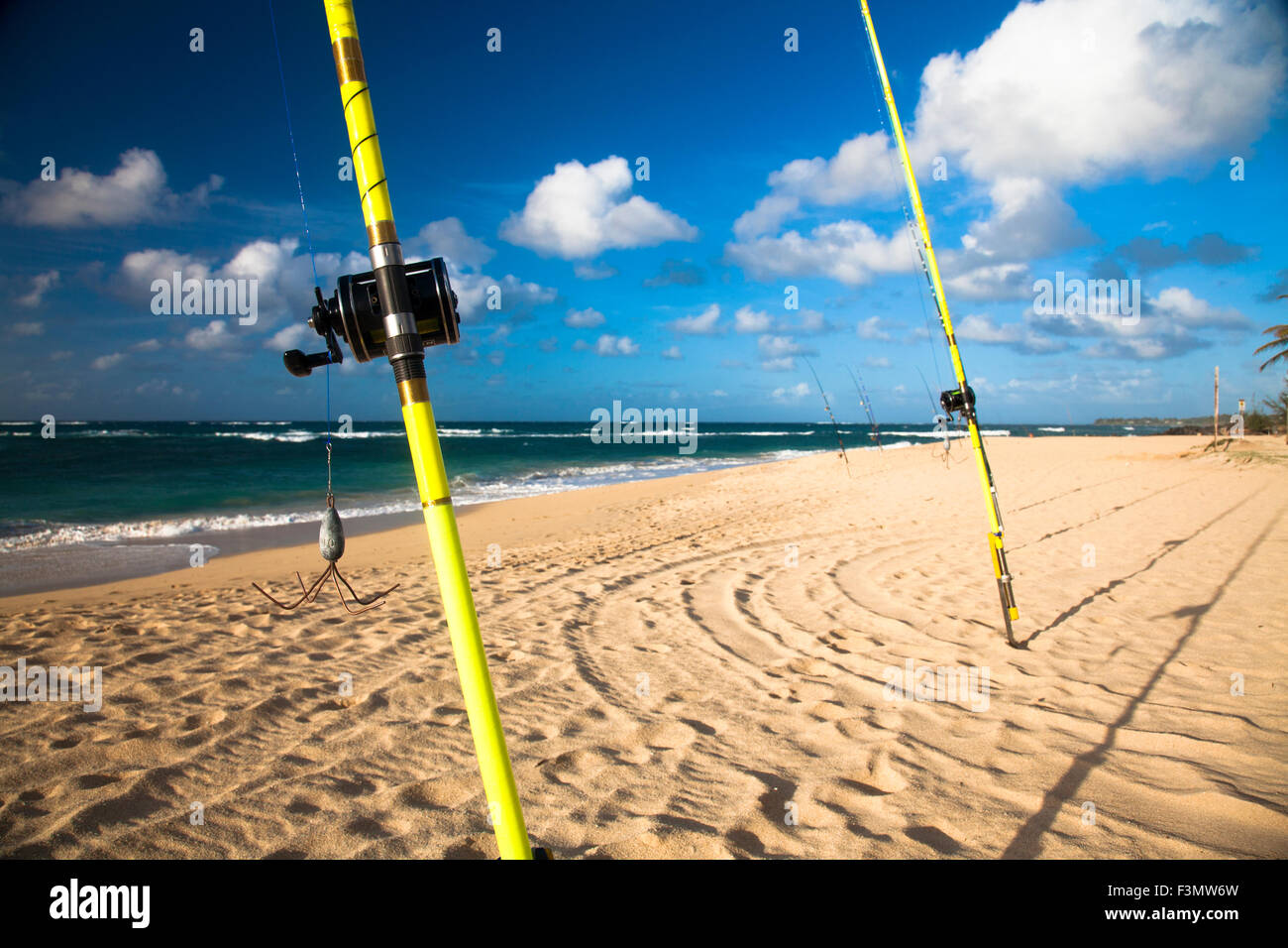 A row of fishing rods on the beach Stock Photo - Alamy