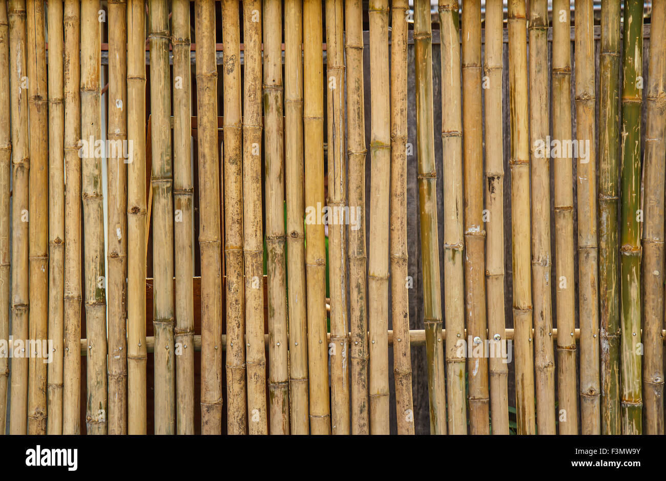 bamboo texture background Stock Photo - Alamy