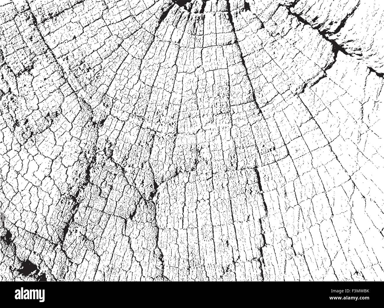 Cross section of wood plank Stock Vector Images - Alamy