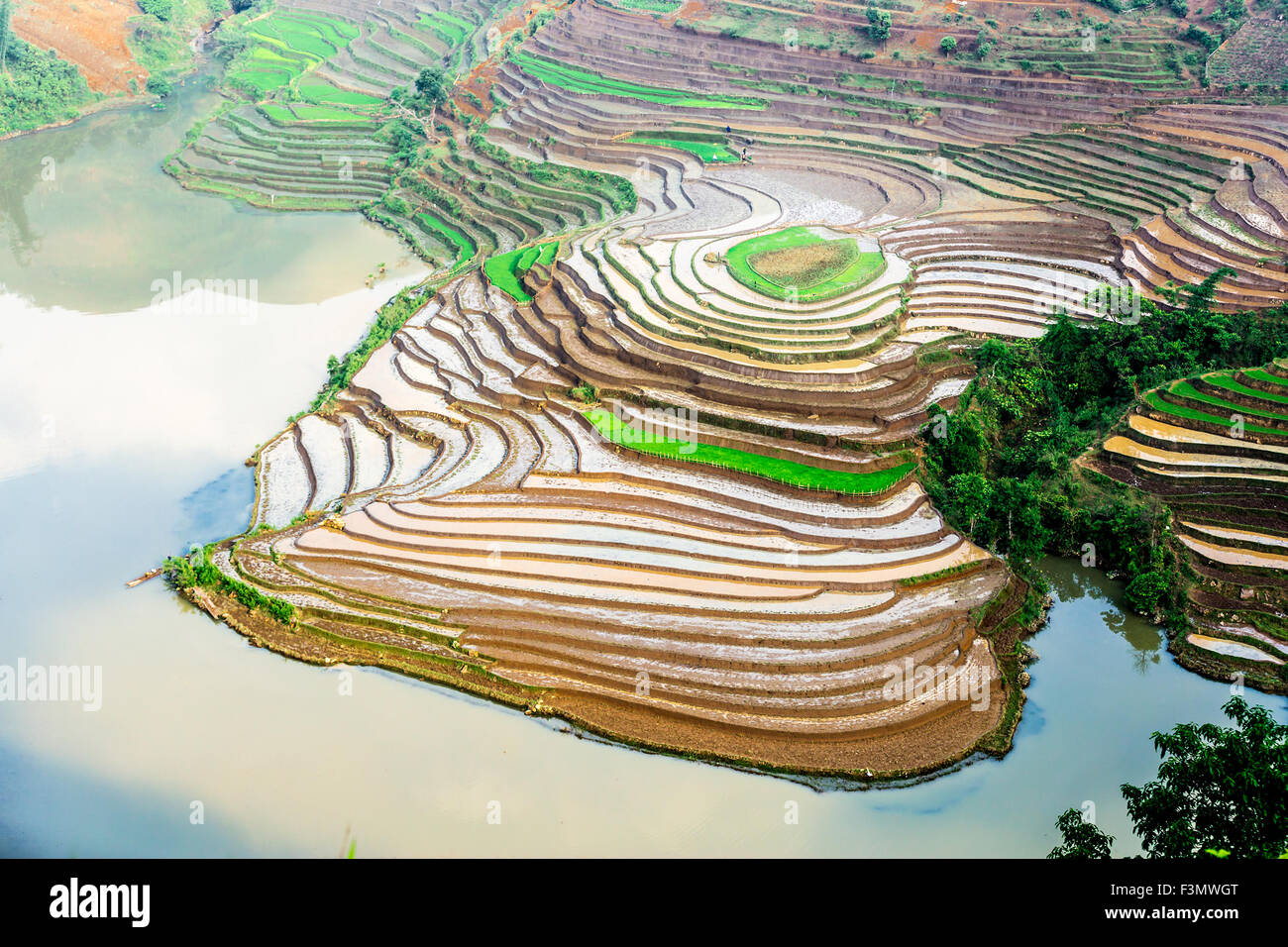 Rice terraces in Northern Vietnam Stock Photo - Alamy