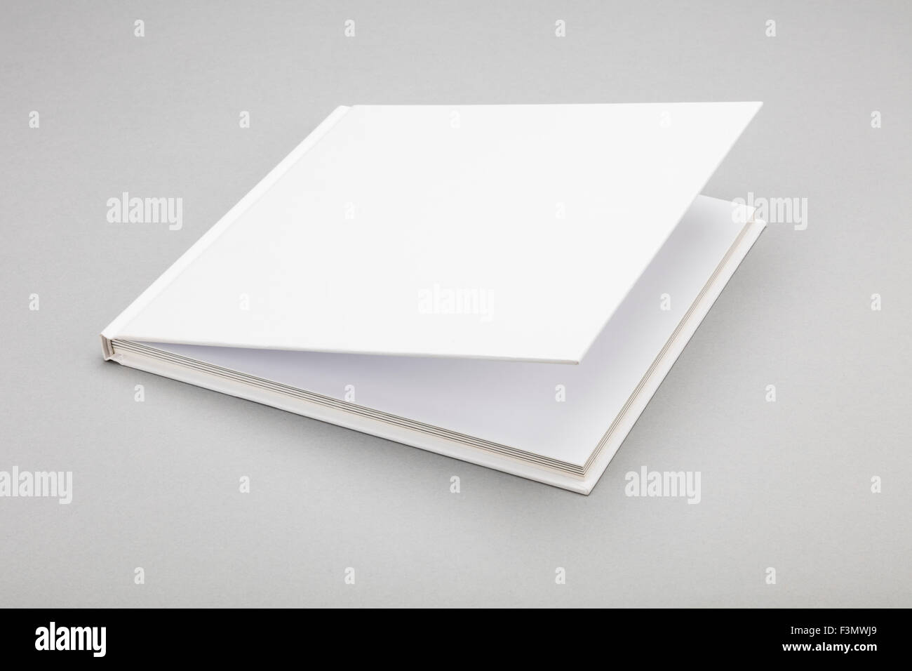 Blank Book Images