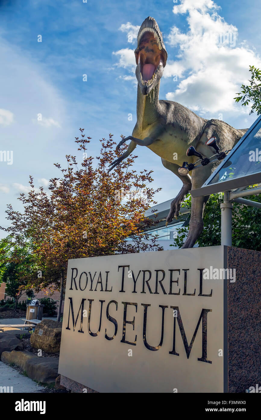 Royal tyrrell museum of paleontology hi-res stock photography and ...