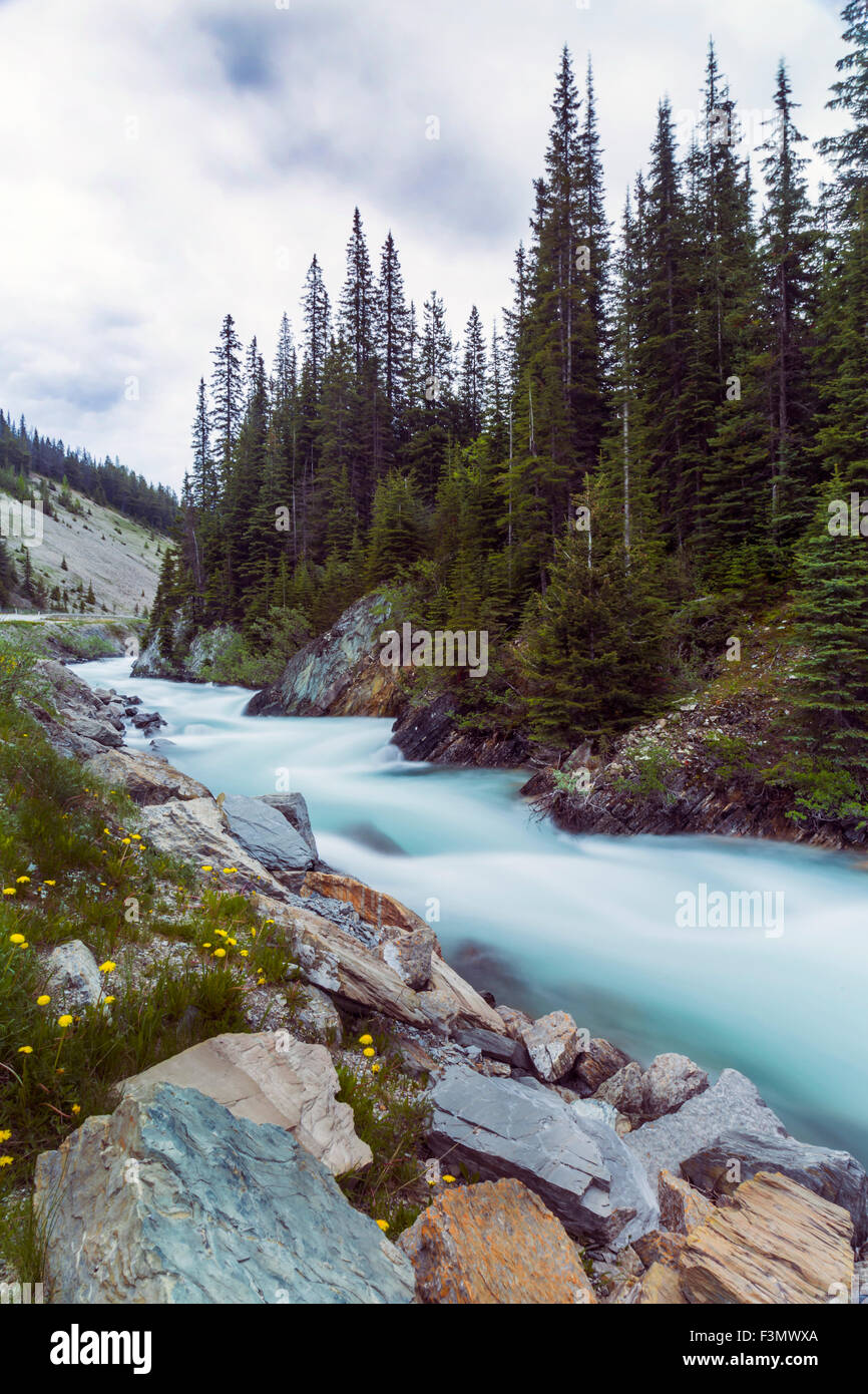 One of the many flowing streams along the highway in BC near Banff ...