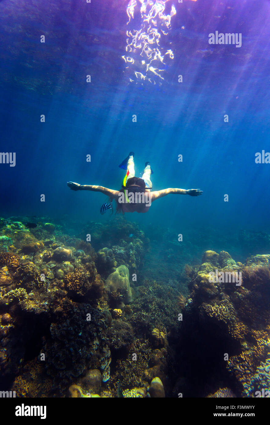 Underwater scene in ocean hi-res stock photography and images - Alamy