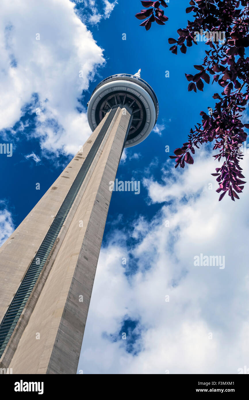 Cn tower from base hi-res stock photography and images - Alamy