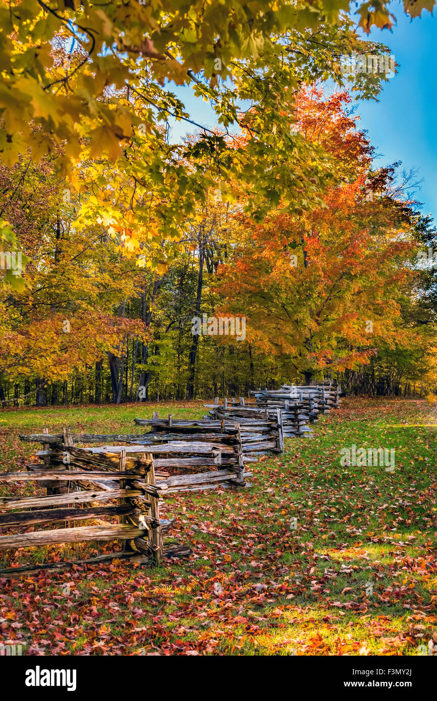 Diagonal fence hi-res stock photography and images - Alamy