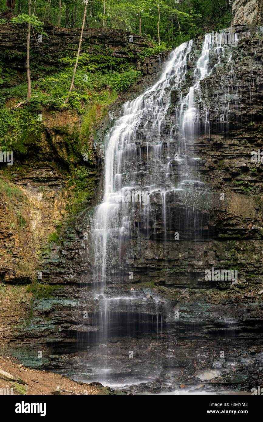 Blue tiffany color hi-res stock photography and images - Alamy