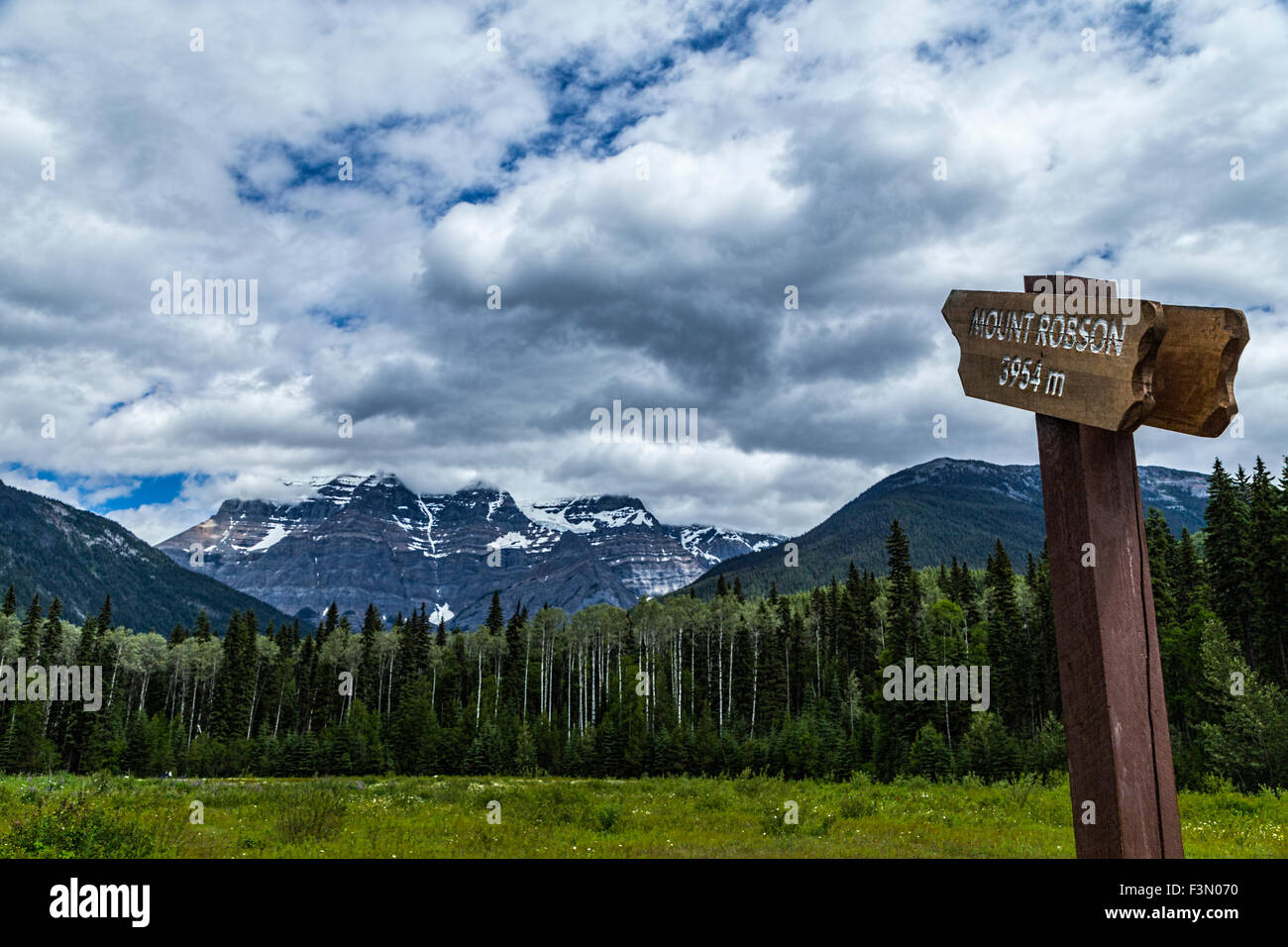 Alpine background hi-res stock photography and images - Alamy
