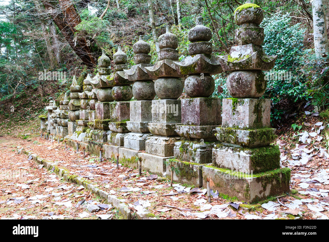 Japan, Koyasan, ancient Japanese cemetery, Okunoin. Row of large moss ...