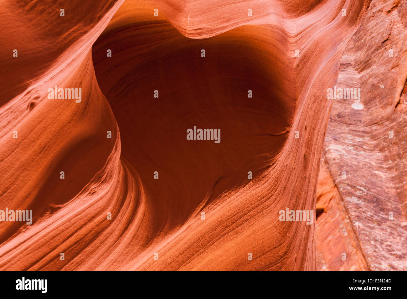 Vibrant orange ancient sandstone eroded over time by water to form a ...