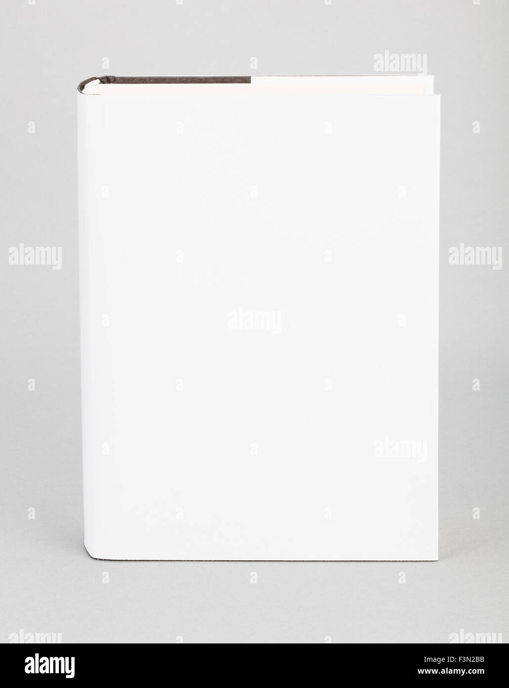 Thick Blank book with white cover Stock Photo - Alamy