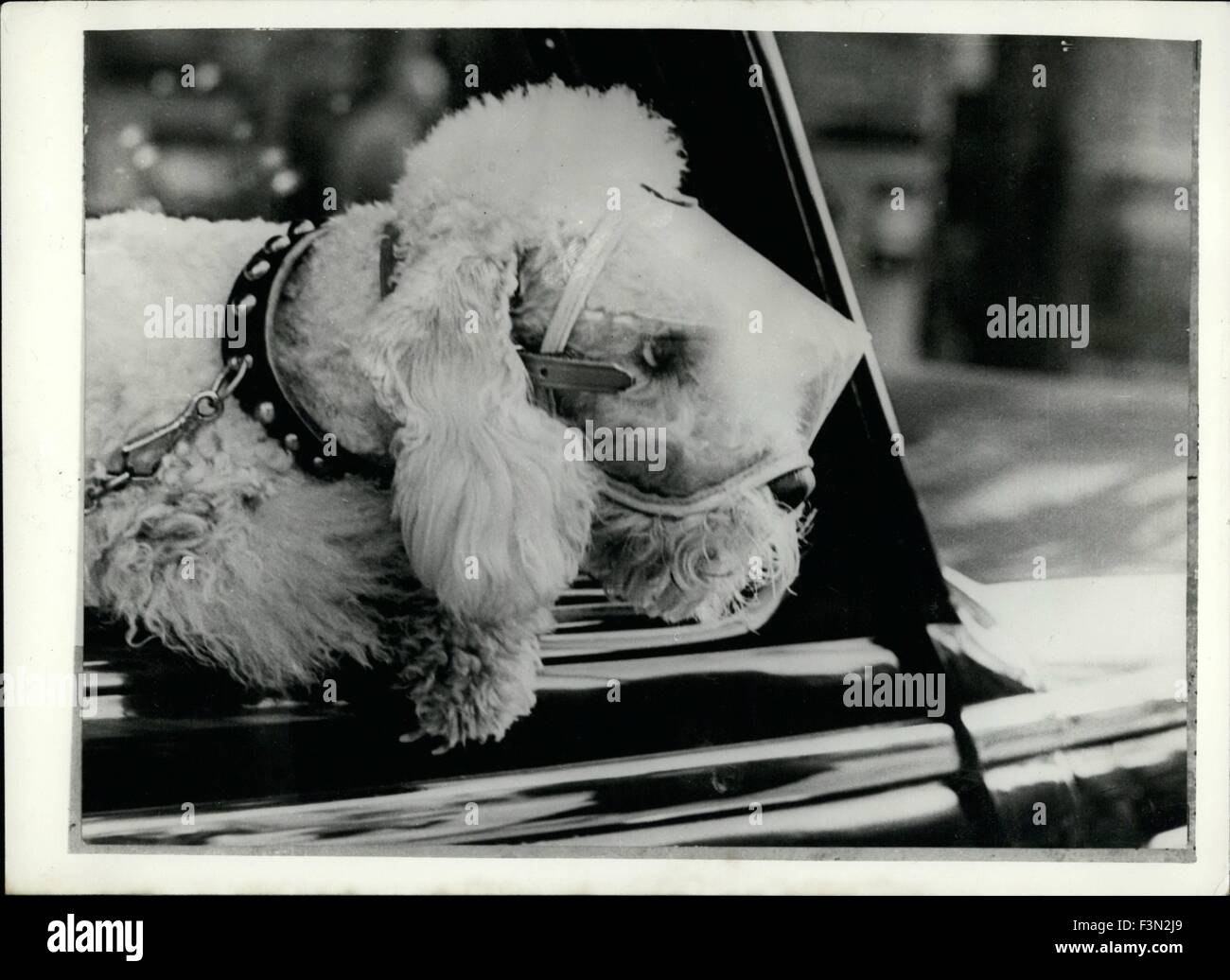 It Keeps the cold out of his eyes. 10th Jan, 1968. anyway transparent ...