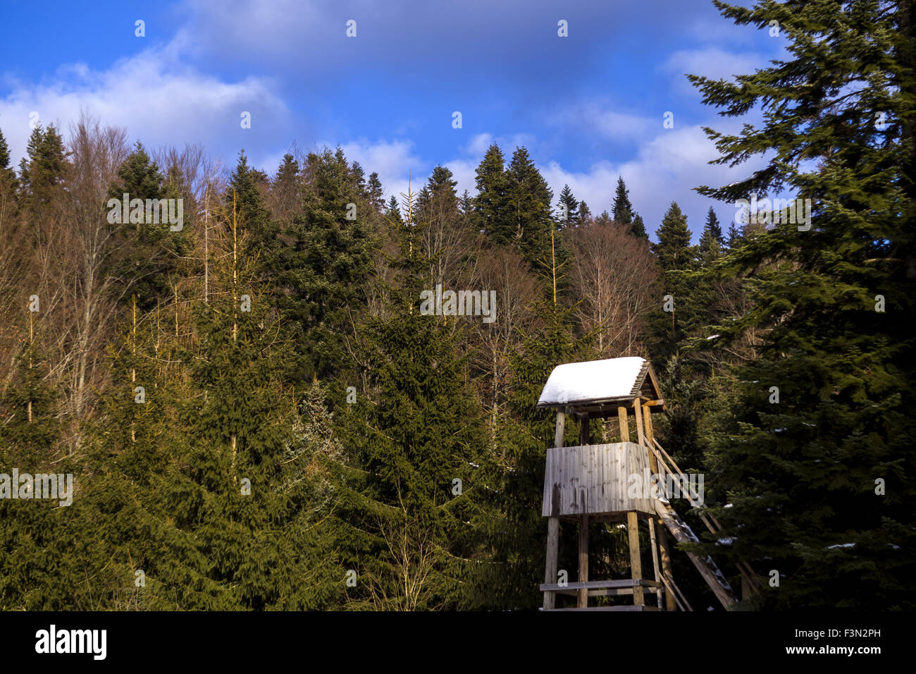 Watchtower stairs hi-res stock photography and images - Alamy