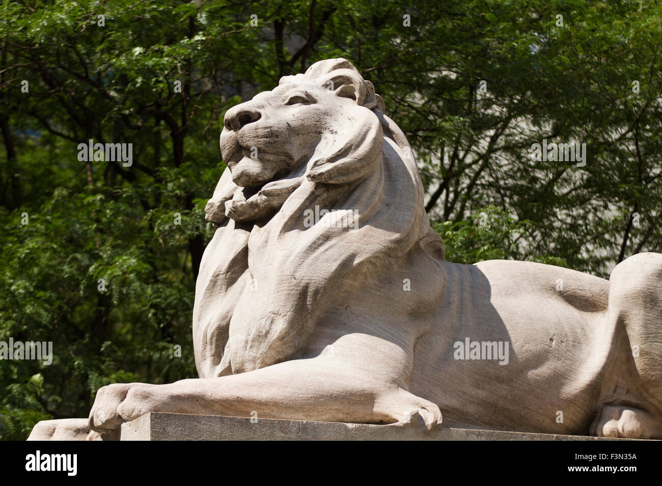 New York City Public Library Lion Stock Photo - Alamy