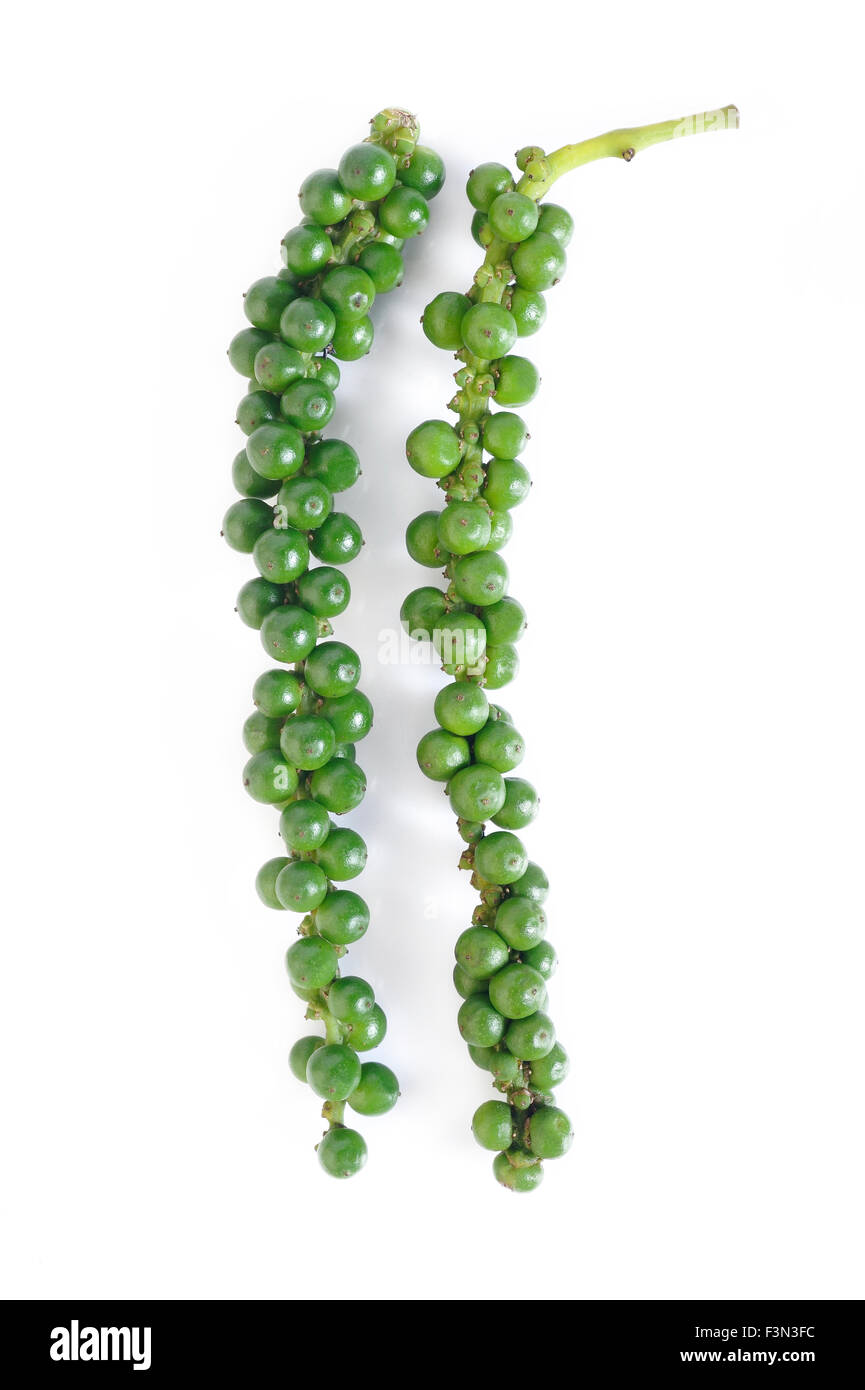 green pepper grain Stock Photo - Alamy