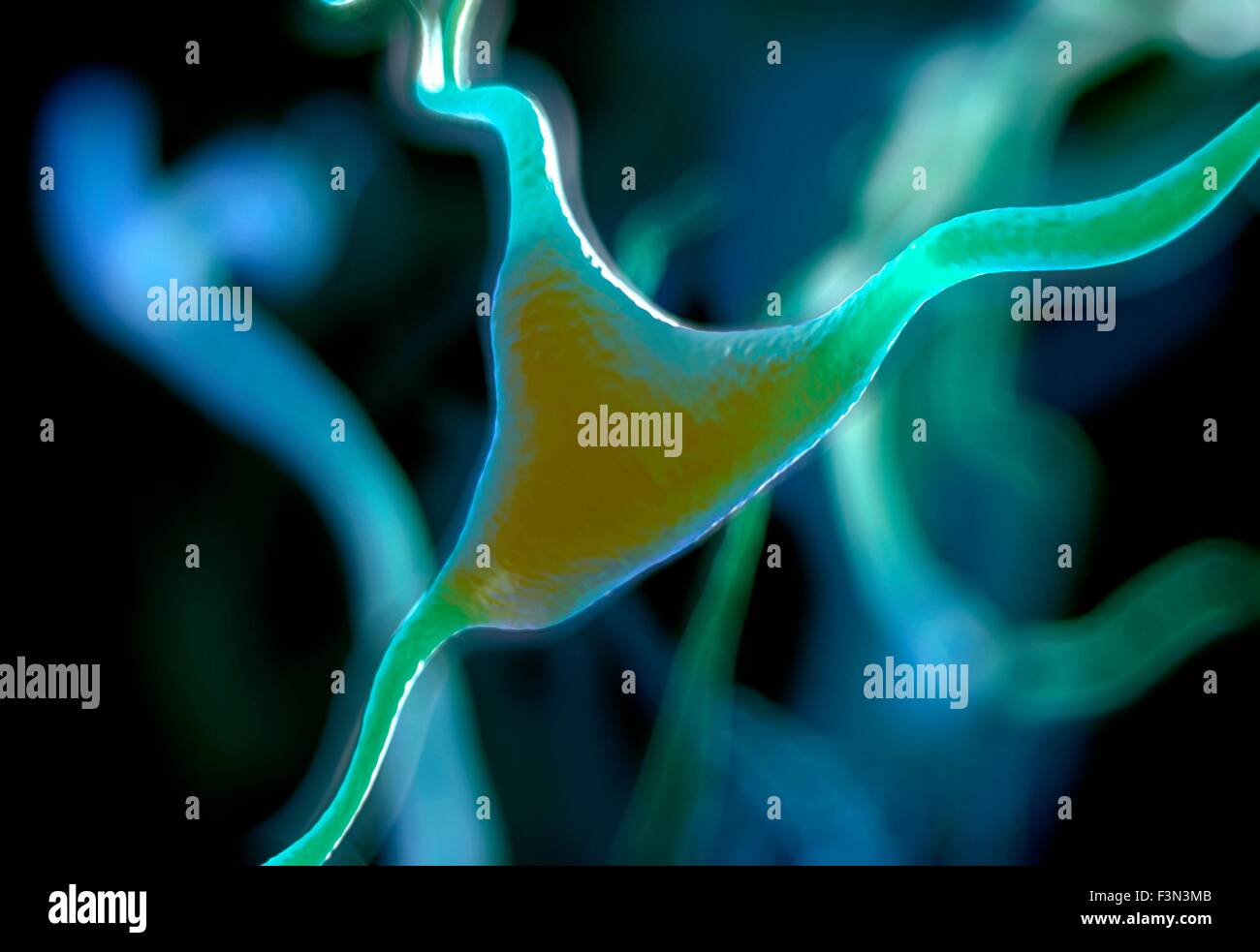 Cerebral cortex nerve cell, illustration Stock Photo - Alamy