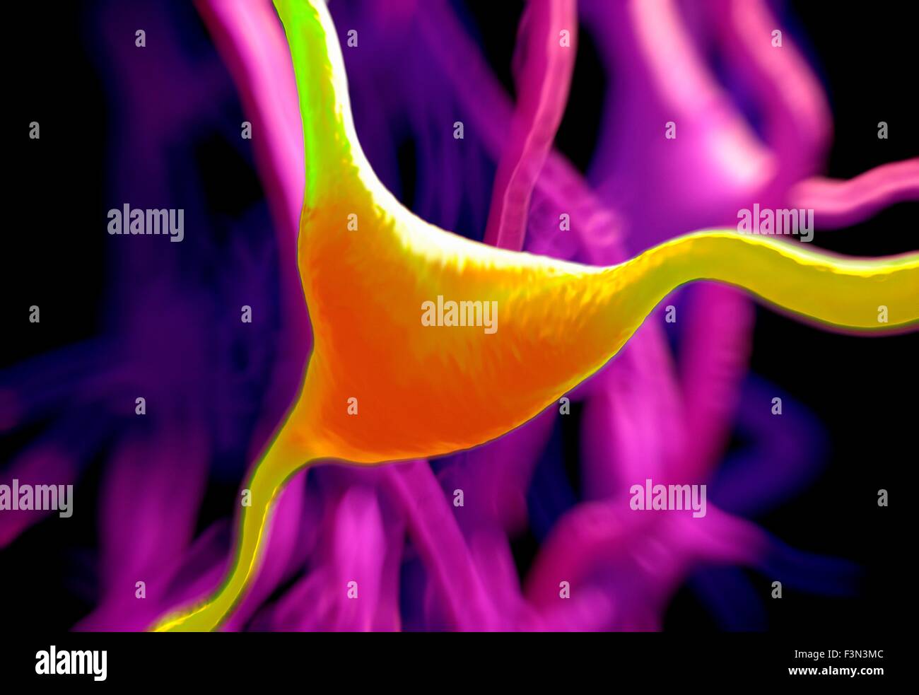 Cerebral cortex nerve cell, illustration Stock Photo - Alamy