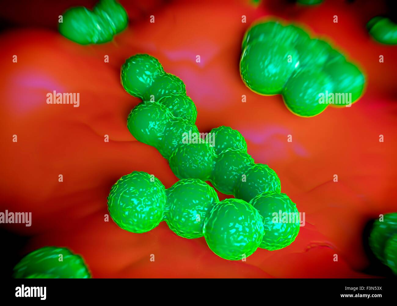 Superbug mrsa hi-res stock photography and images - Alamy