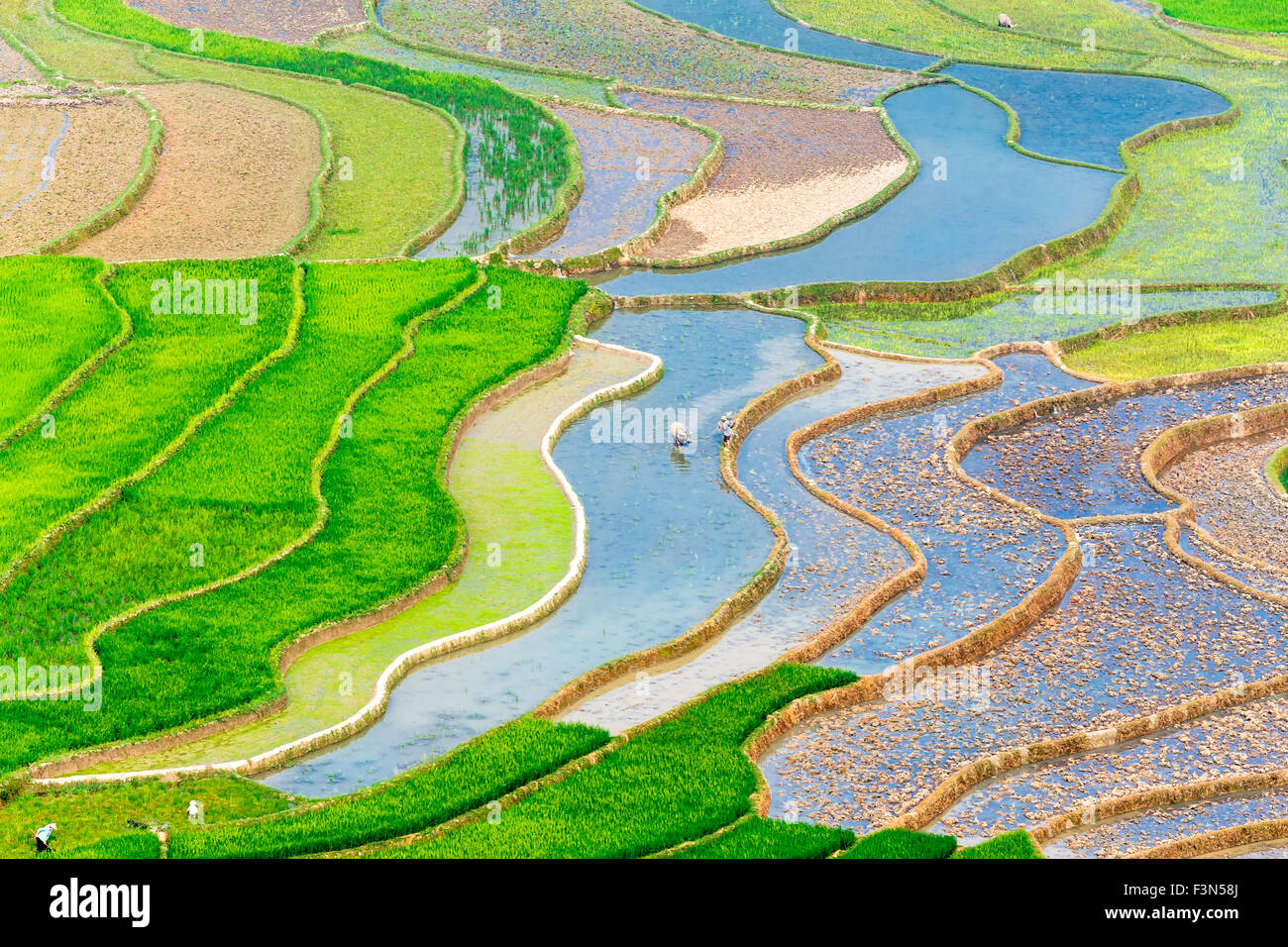 Terraced fields hi-res stock photography and images - Alamy