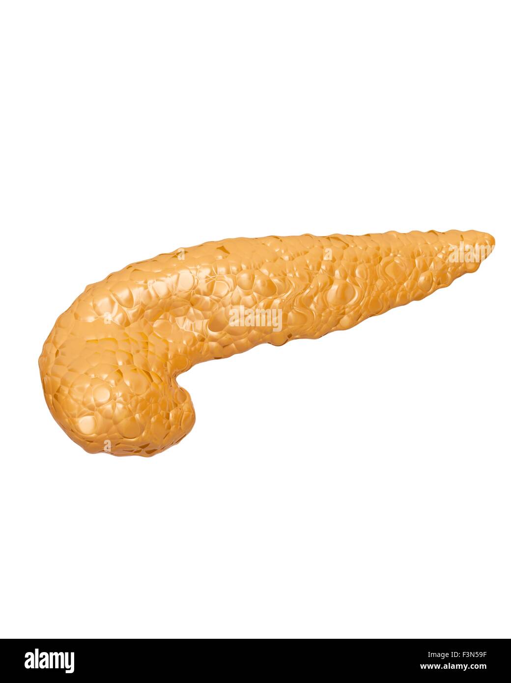 Pancreas Cut Out Stock Images & Pictures - Alamy