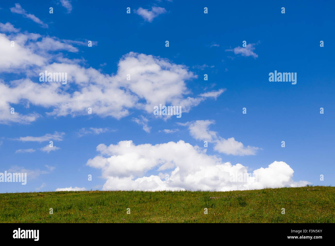 Green grass with a big blue sky and white clouds, cloudscape. Autumn ...
