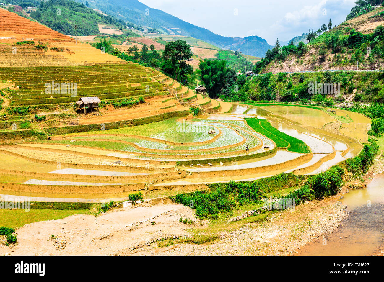 Planting fields hi-res stock photography and images - Alamy