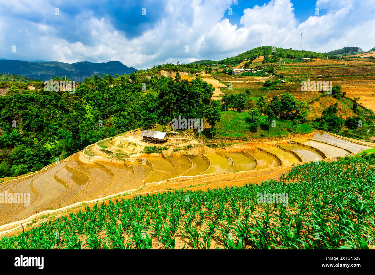 Vietnam nice view hi-res stock photography and images - Alamy