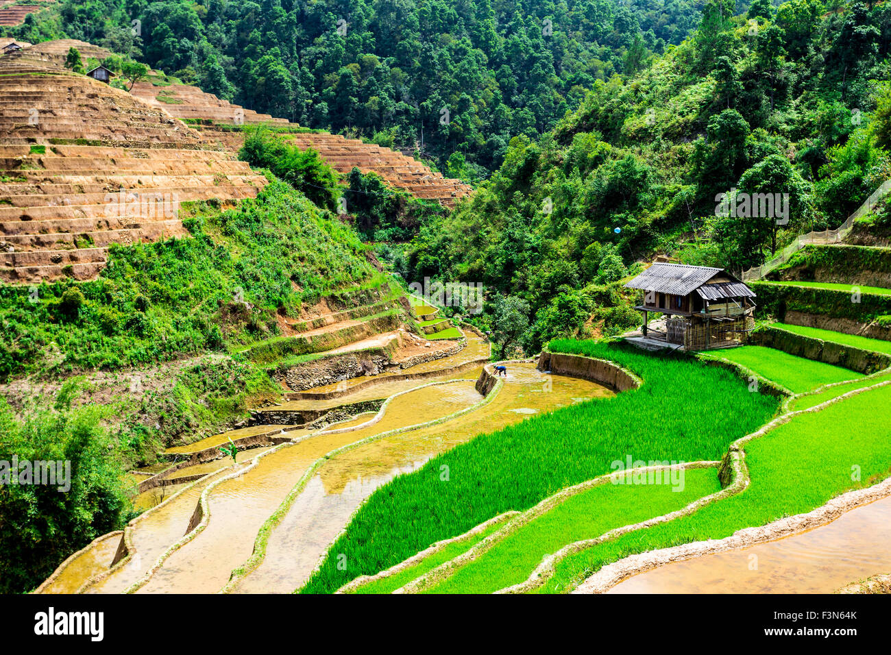 Terraced fields hi-res stock photography and images - Alamy