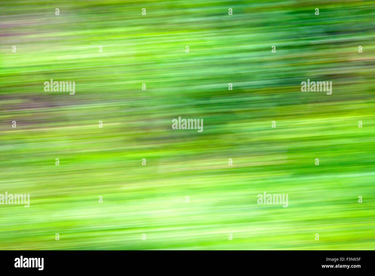 green nature background fast line Stock Photo - Alamy