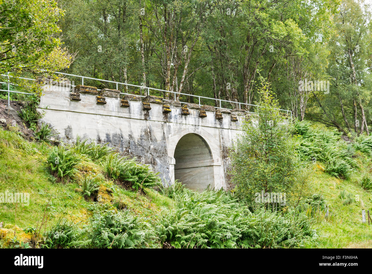 GREAT GLEN WAY OR TRAIL LAGGAN TO FORT AUGUSTUS RAILWAY BRIDGE ON THE ...