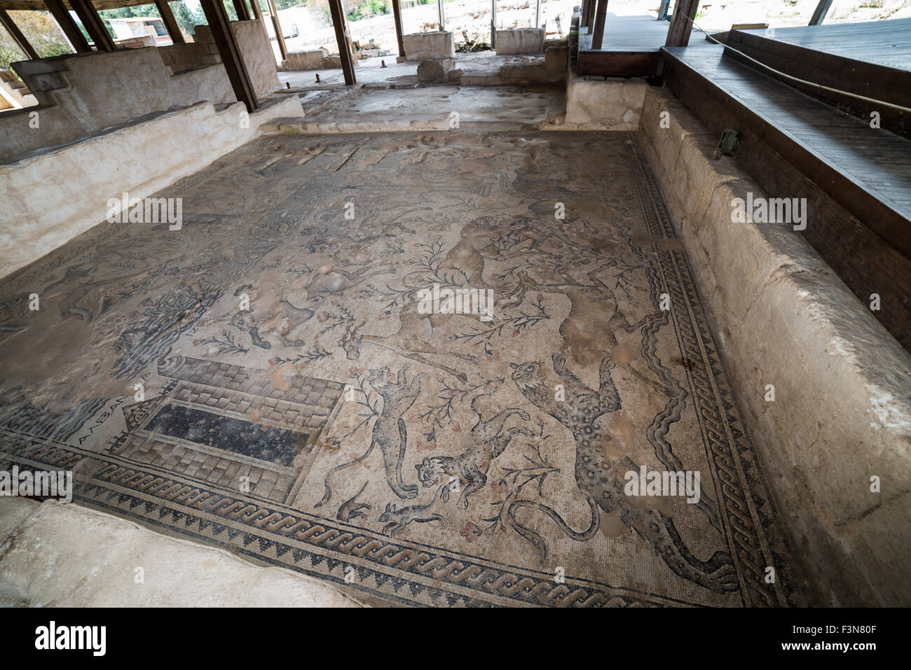 Sepphoris nile mosaic hi-res stock photography and images - Alamy