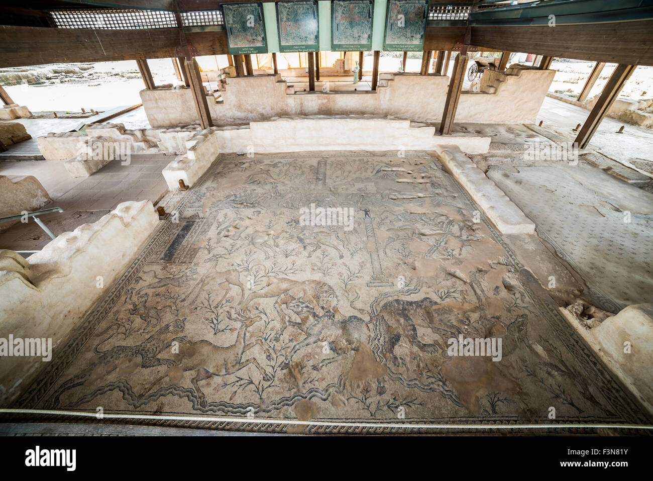 Tzipori (Sepphoris)archeological site in Israel Stock Photo - Alamy