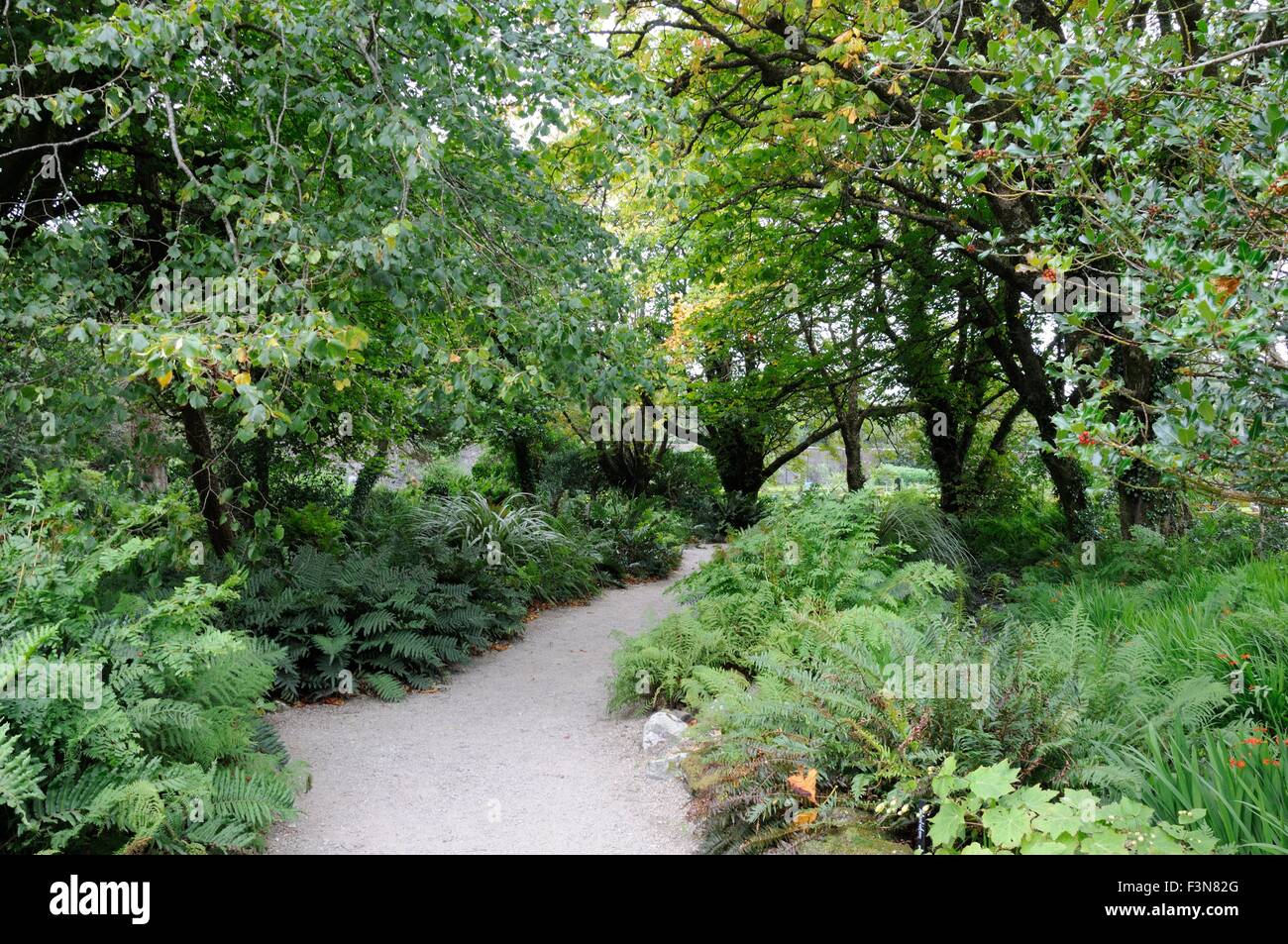 Victorian fern garden walk at Kylemore Abbey Connemara County Galway ...