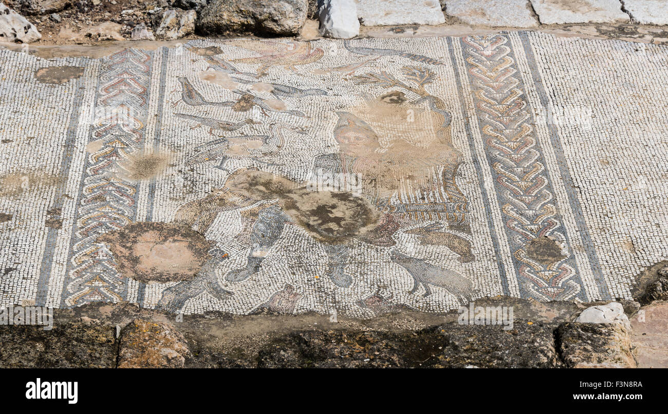 Tzipori (Sepphoris)archeological site in Israel Stock Photo - Alamy