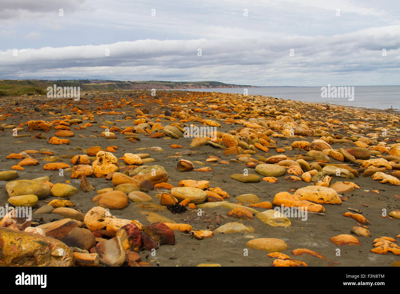 Blackhall Rocks High Resolution Stock Photography and Images - Alamy