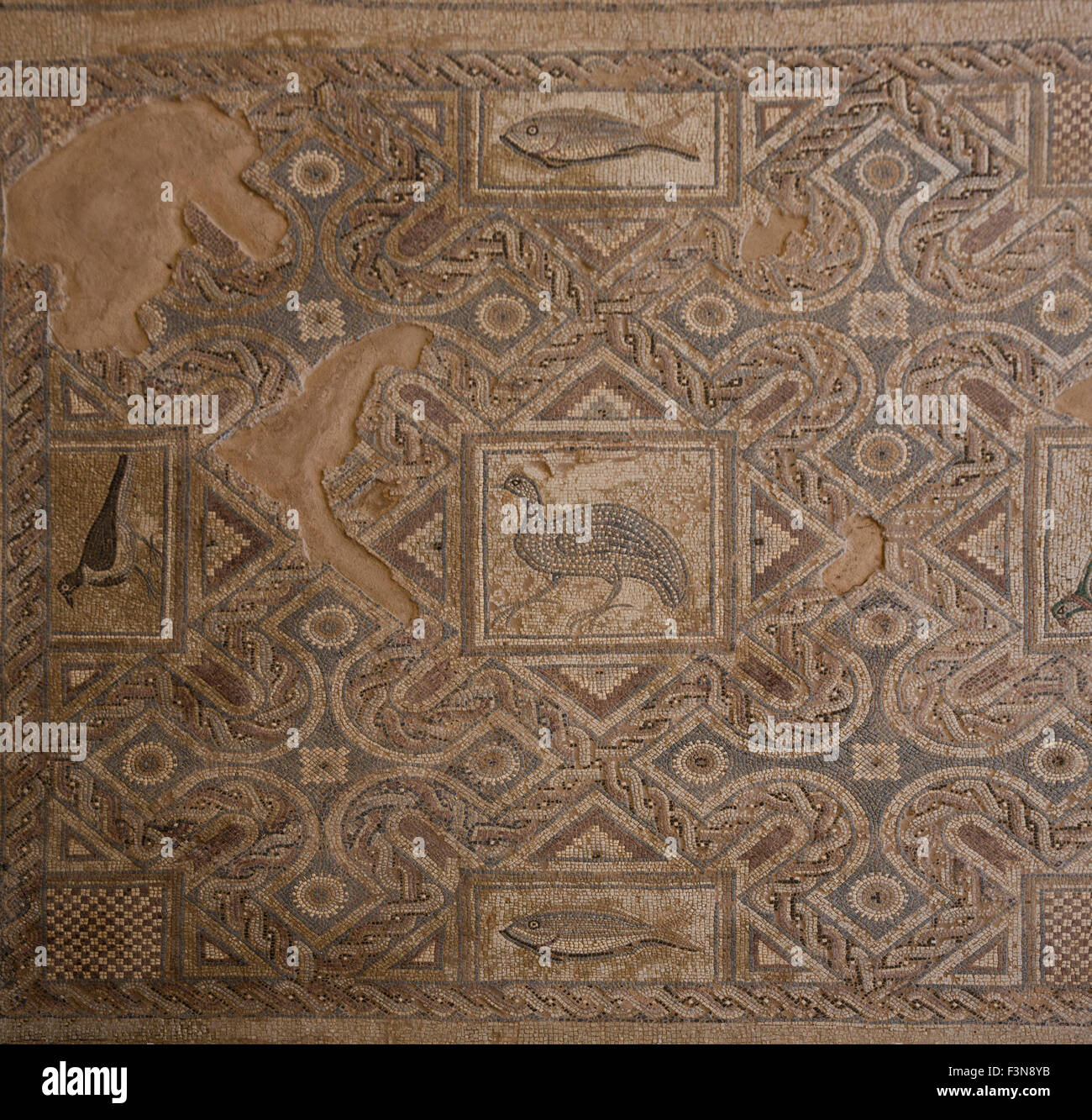 Mosaic floor in the church in the Roman town of Curium (modern Kourion ...