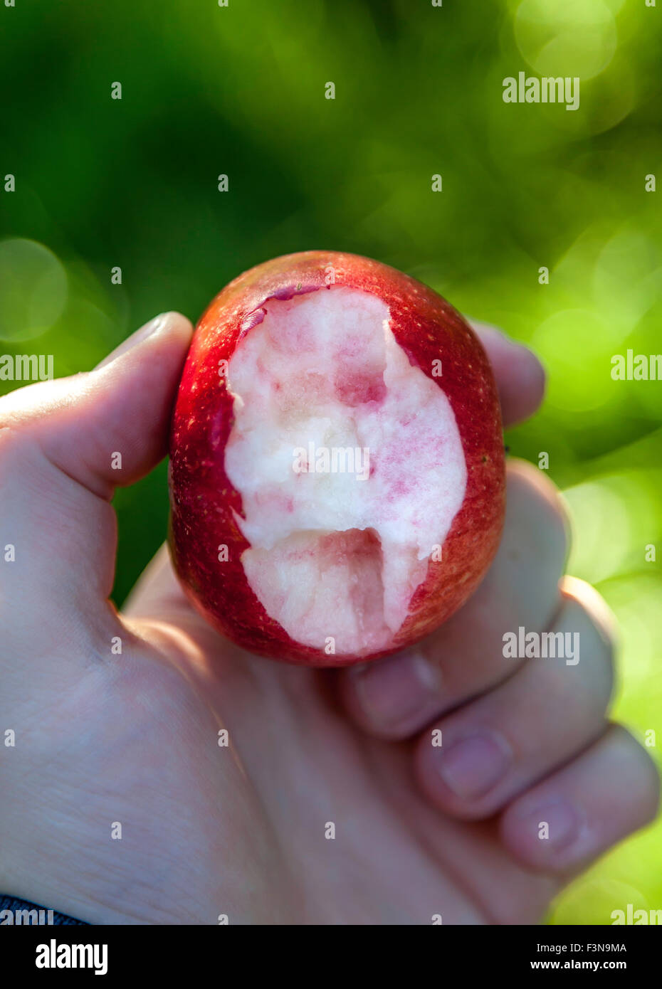 The Apple in Hand Stock Photo - Alamy