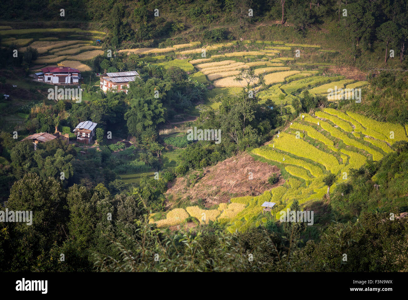 Landscape with rice terraces Stock Photo - Alamy