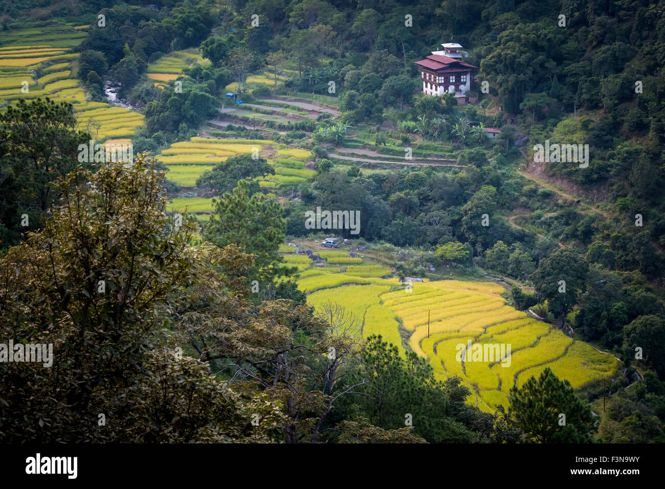 Landscape with rice terraces Stock Photo - Alamy